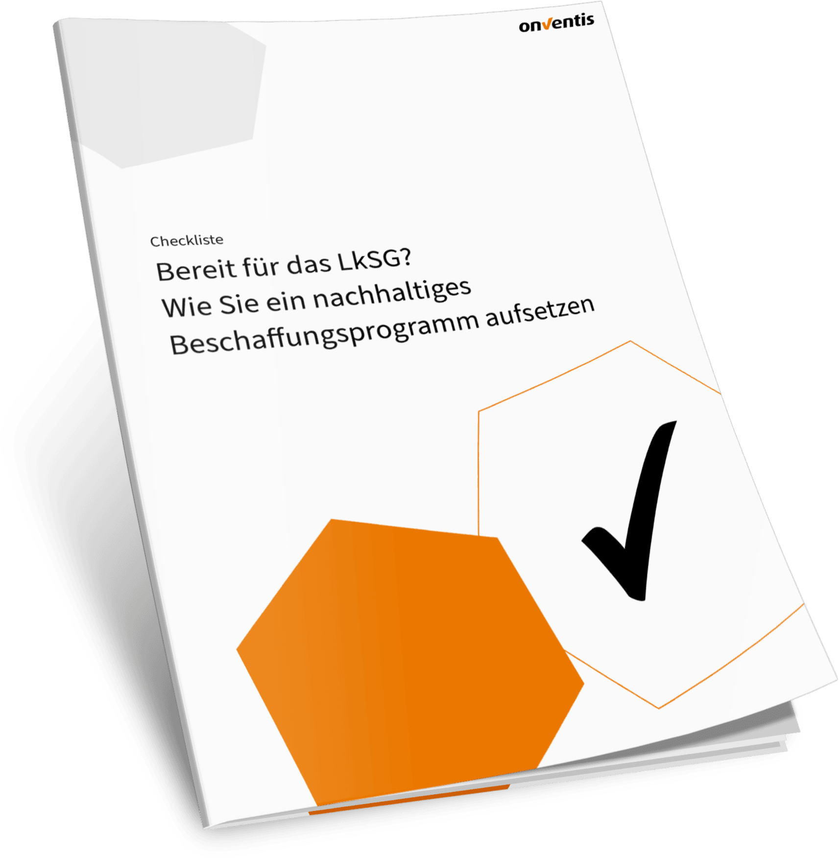 Lieferketten (LkSG) Checkliste