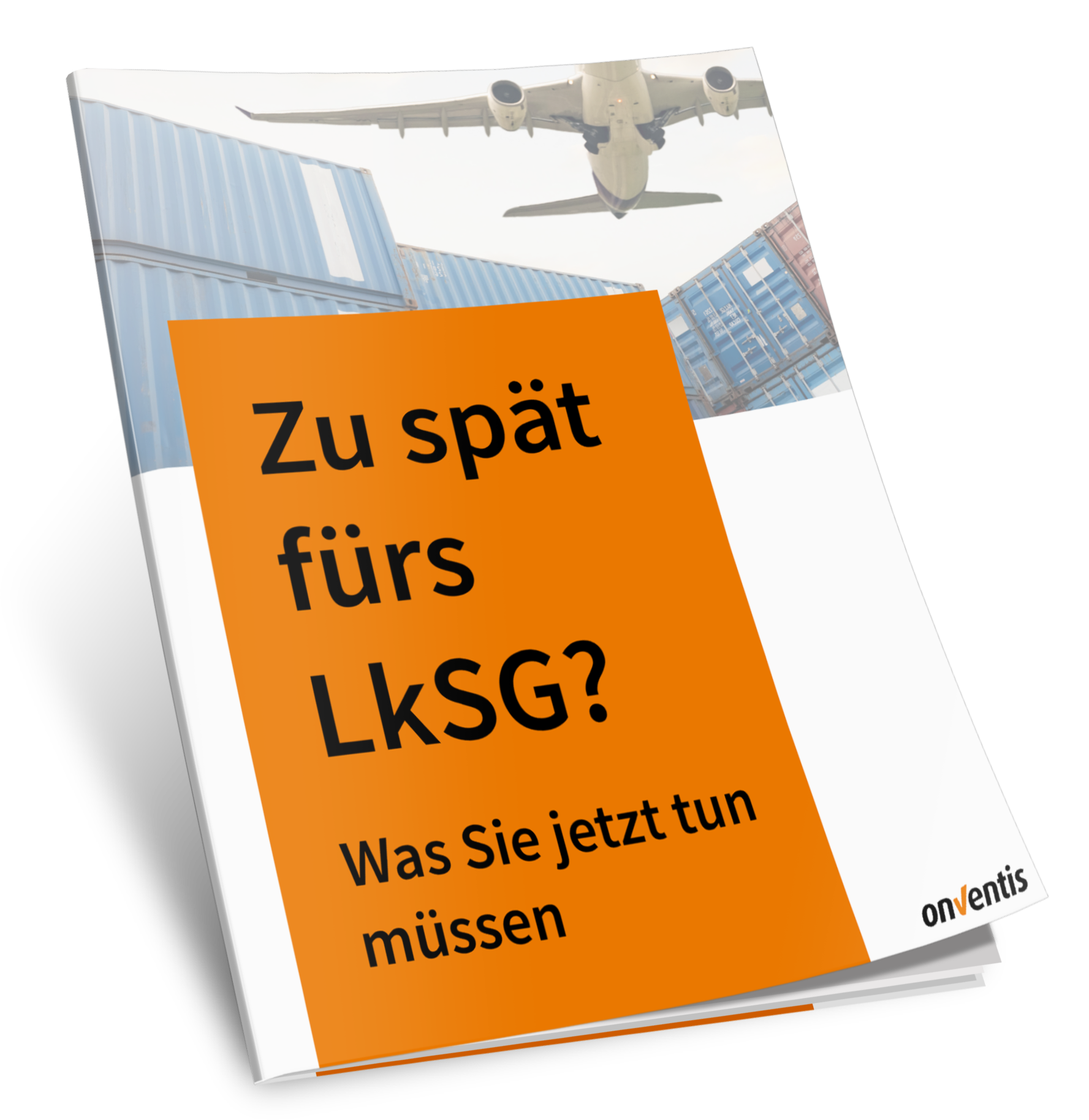 Zu spät fürs LkSG?